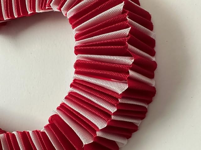 Amazon.com: Box Braid (Love Braid) Homecoming Mum (Red with White ...