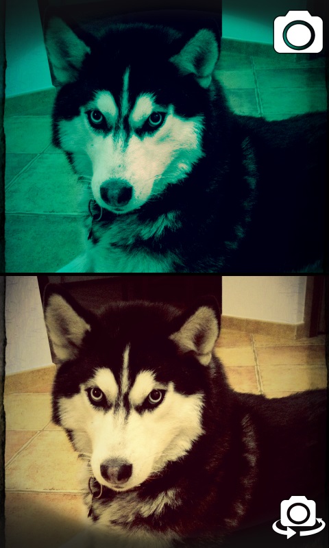 Dog Vision Simulator - App on the Amazon Appstore