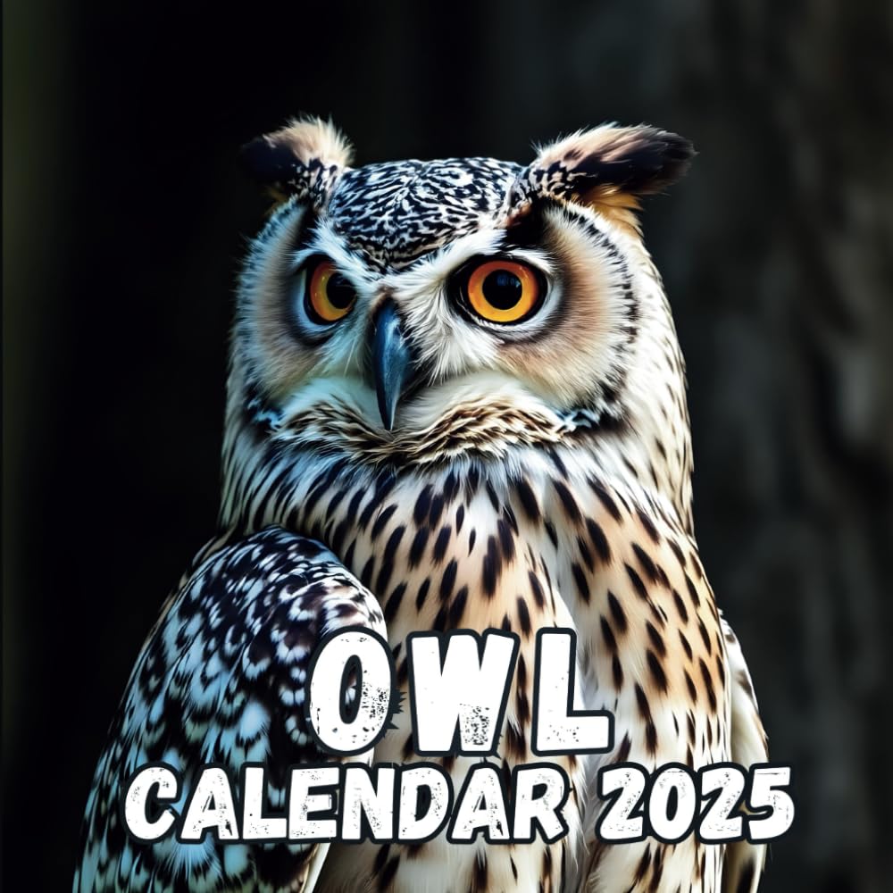 Owl Calendar 2025: 12 Months of Owl from Jan 2025 to Dec 2025,Square 8. ...