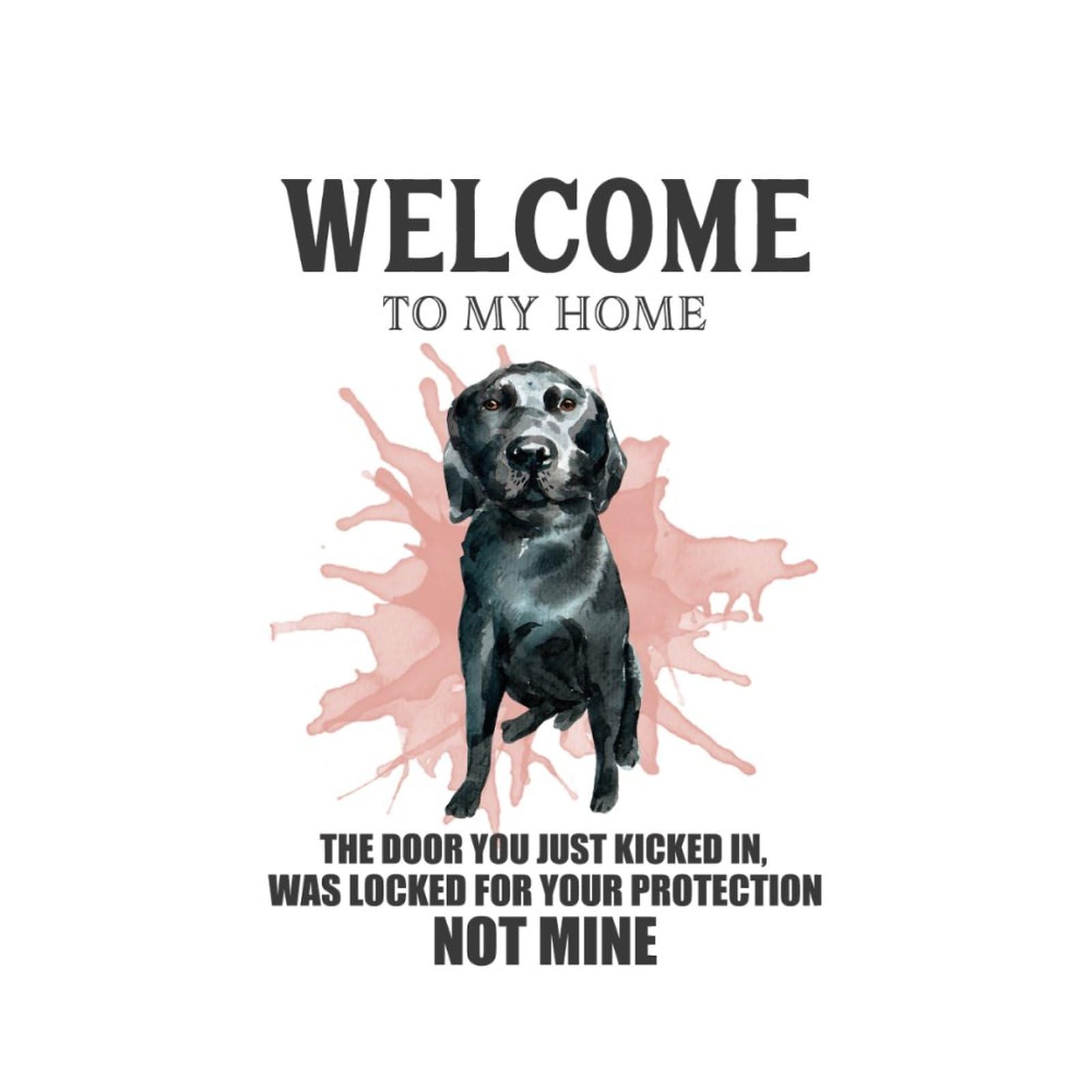 Funny Dog Pictures Without Words