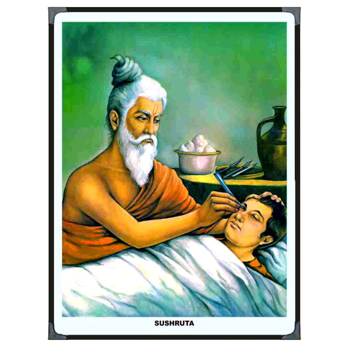 Sushruta Scientist