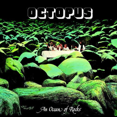 Amazon.com: An Ocean of Rocks : Octopus: Digital Music