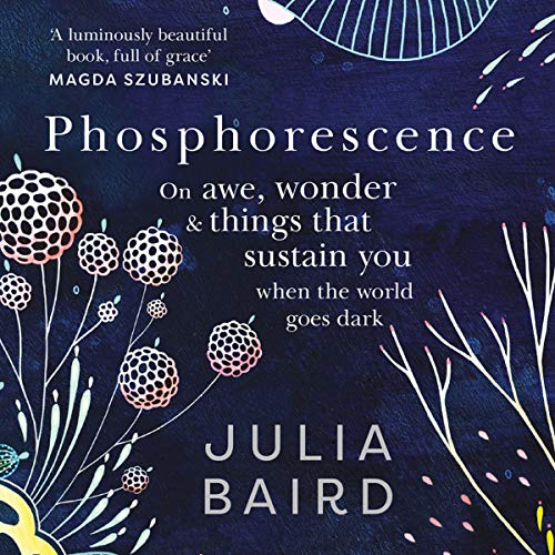 Phosphorescence: On awe, wonder & things that sustain you when the ...
