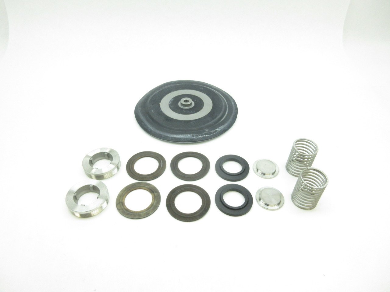 Amazon.com: PROMINENT 1005311 Hydrazine Start UP KIT D597958 ...