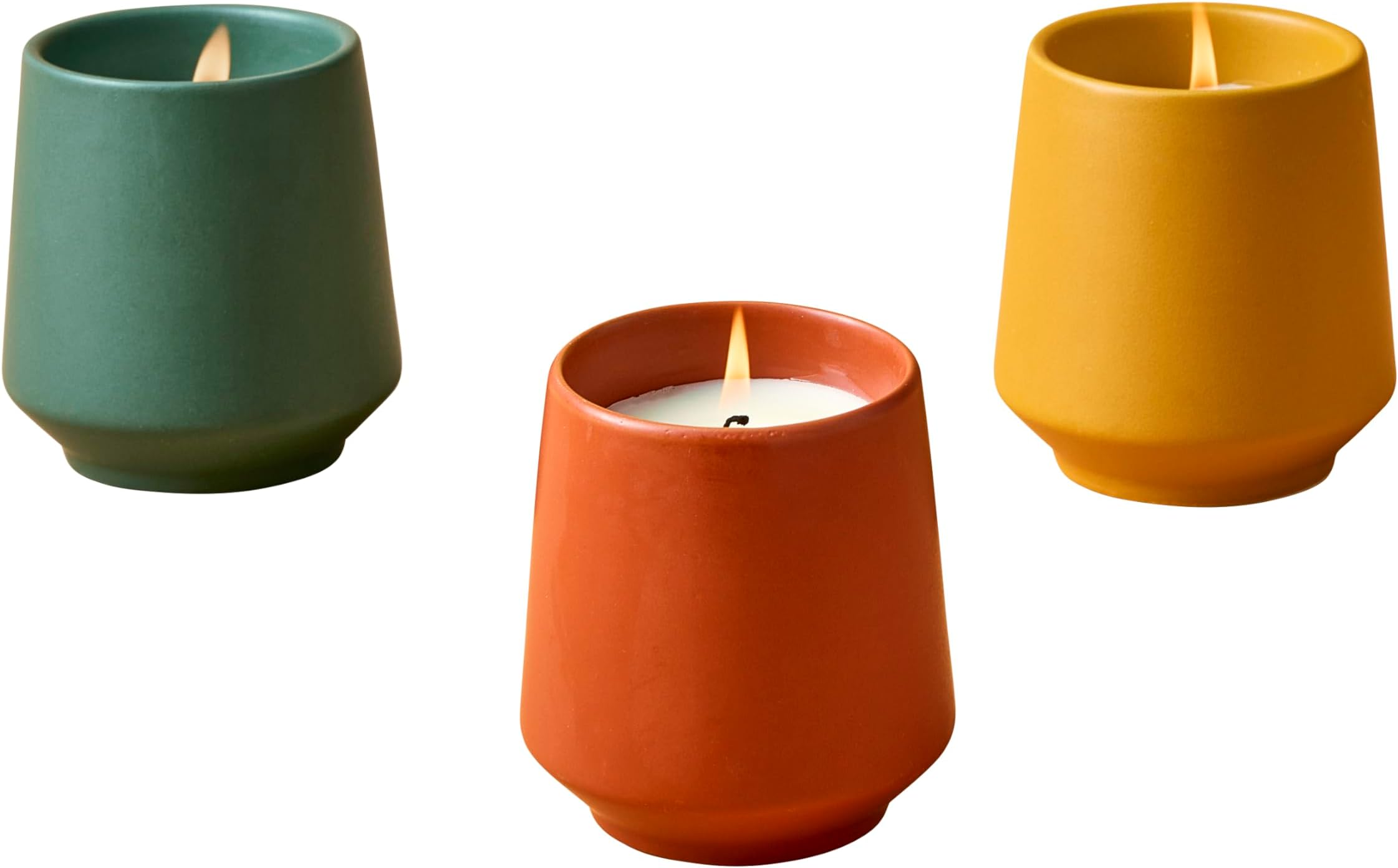 Amazon.com : Modern Sprout Rooted Candle (Pack of 3) - 2 in 1 Scented ...
