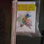 Amazon Brand - Solimo Sketchbooks, Spiral-Bound, Mini Size, Professional-Grade Sheets ...