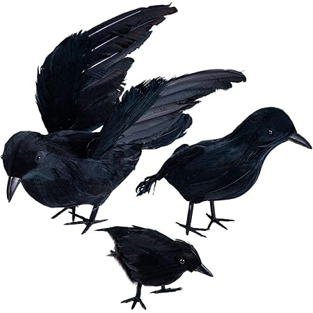 Amazon.com : 2-Pack Realistic Crows Lifesize Extra Large Handmade Black ...