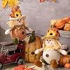Amazon.com: Zcargel Harvest Season Scarecrow Doll Handmade Sitting ...