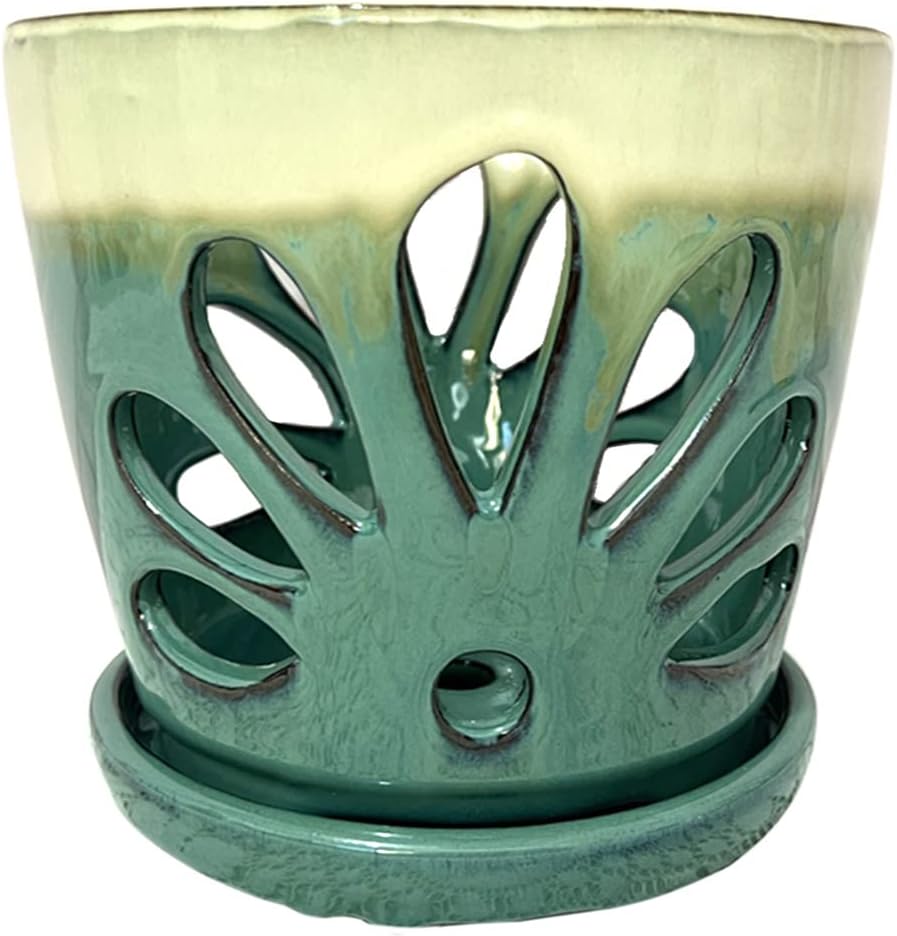 Amazon.com : Ymdewe Orchid Pot with Drainage Hole Large Round Orchid ...