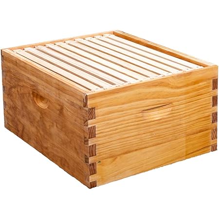 Amazon.com : Busy Bees 'N' More Amish Made in USA Painted and Assembled ...