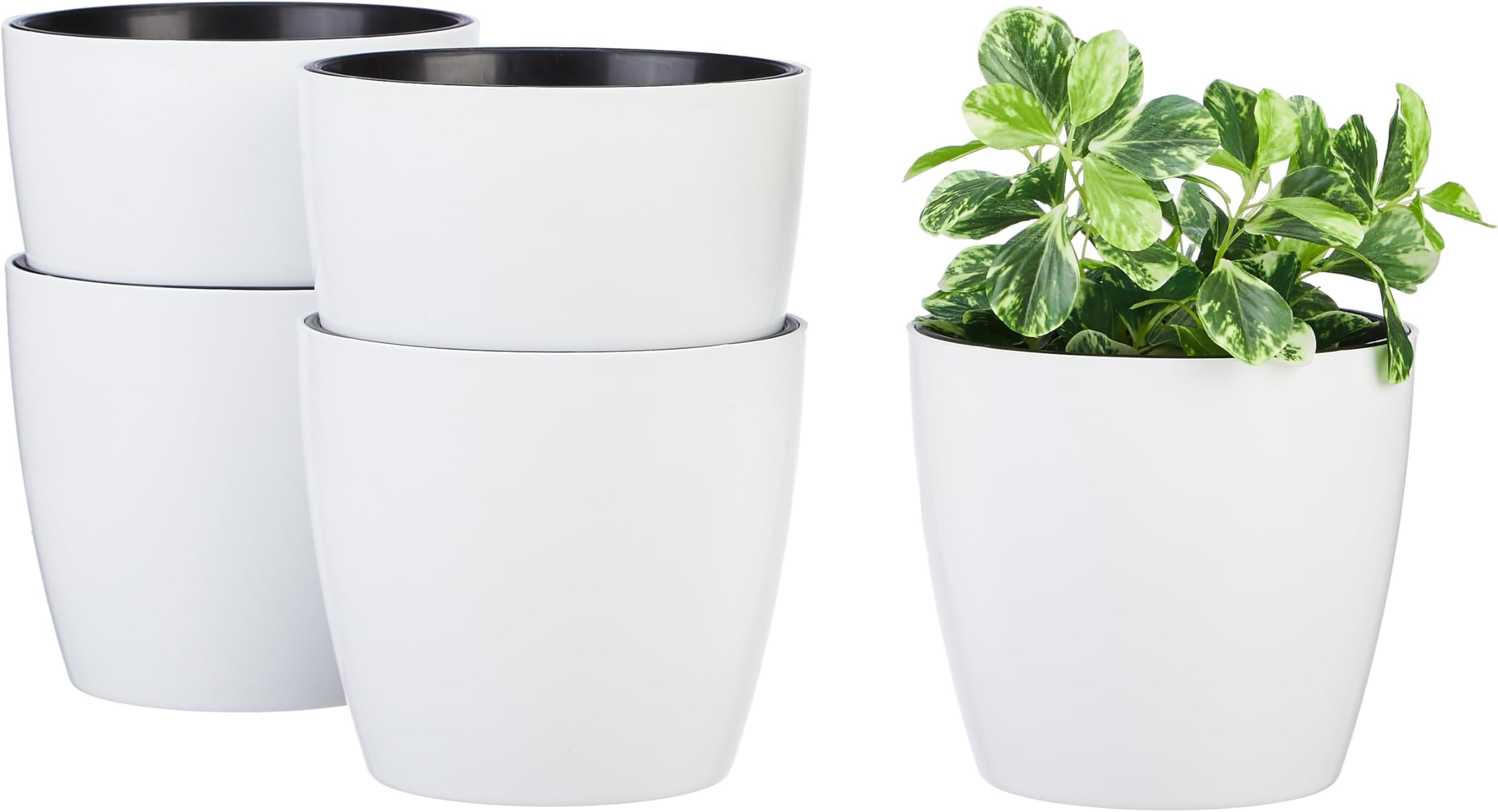 Amazon Brand - Solimo 100% Virgin Plastic Round Nursery Planter Pot ...