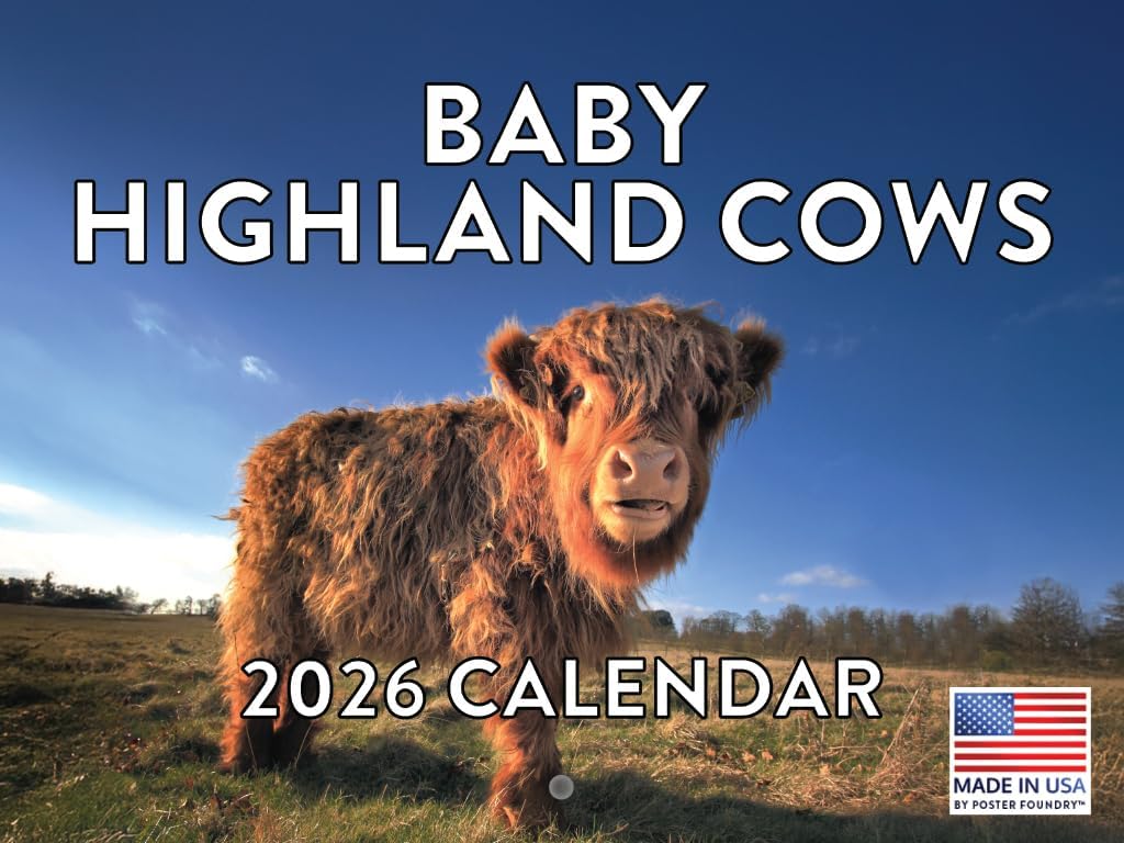 Baby Highland Cow Calendar 2026 Wall Cows Gifts For Cow Lovers Monthly ...