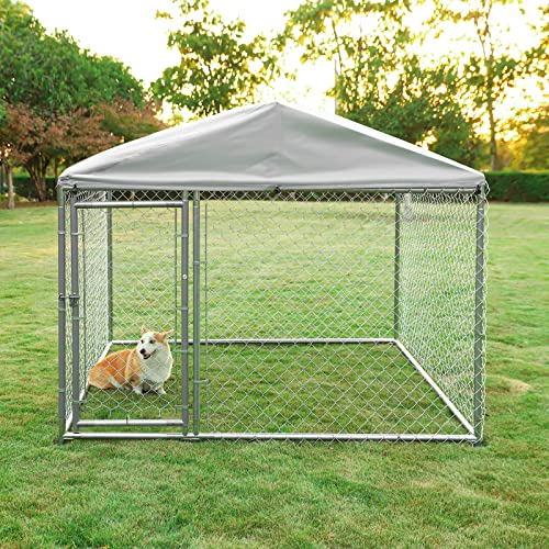10 Must-Have Dog Cages for Your Outdoor Adventures: A Comprehensive ...