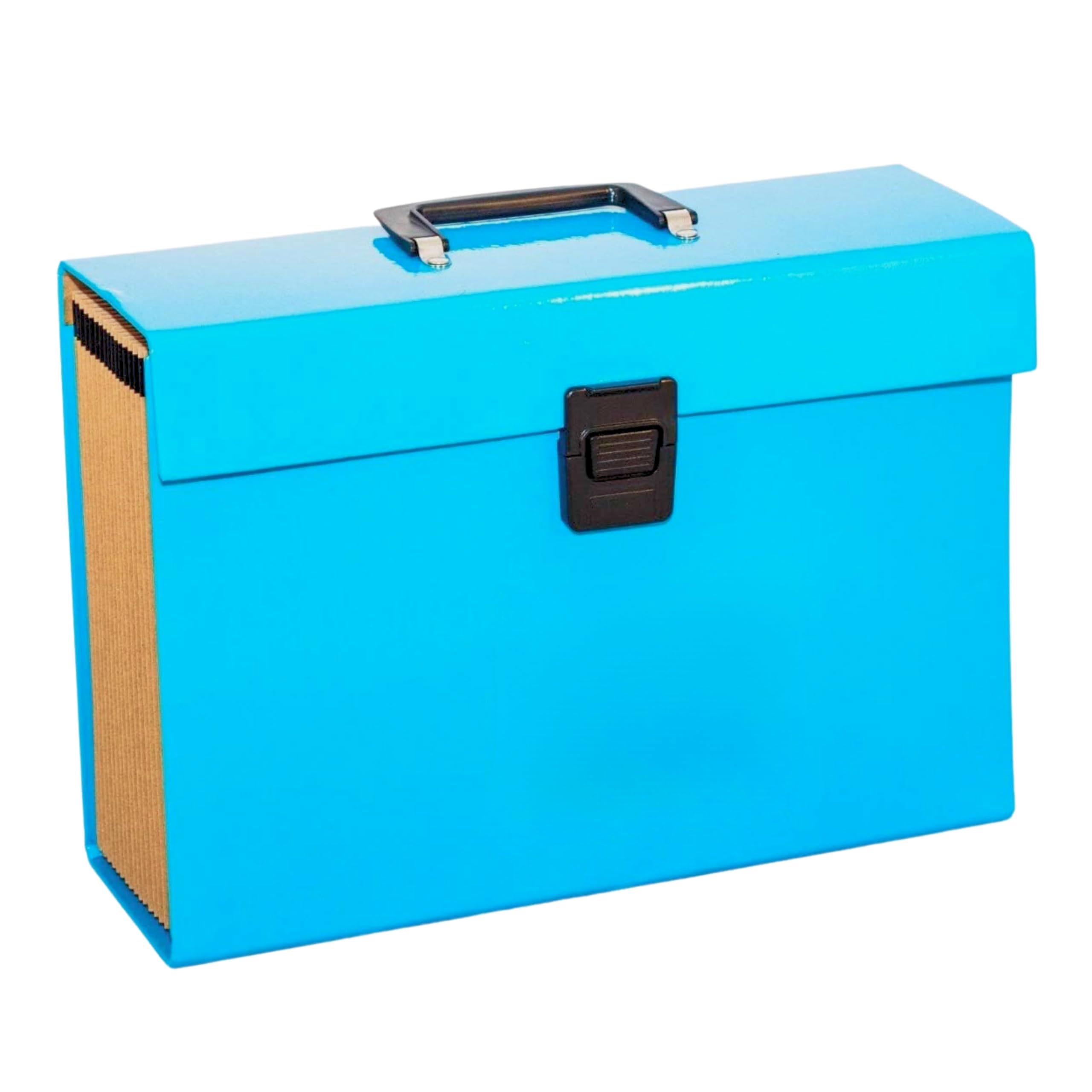 ADEPTNA Highly Durable 19 Pocket Expanding Box File Organiser A4 Paper ...