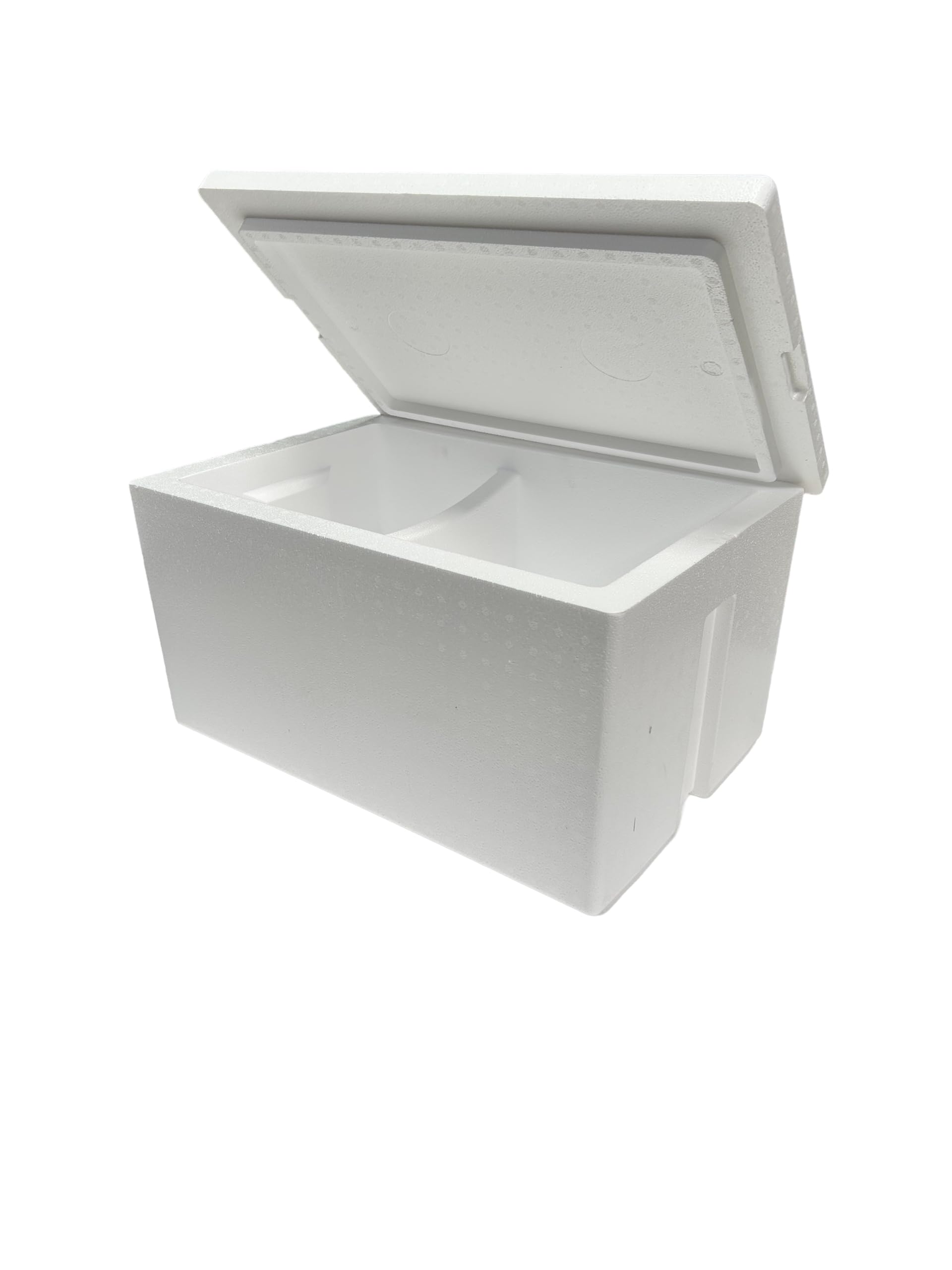 Amazon.com : Insulated Cooler, Styrofoam Ice Chest, 47qt, Dual ...