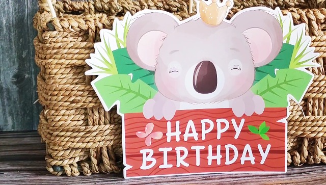 Watch Koala Party Centerpieces Koala Themed Party Tablecloths for Cow ...