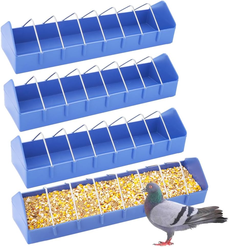 Amazon.com : Tioncy 4 Pcs Pigeon Feeder Bird Dispenser Slot Container ...