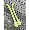 Amazon.com : Trombone Squash Seeds for Planting - Grow 20 Tromboncino ...