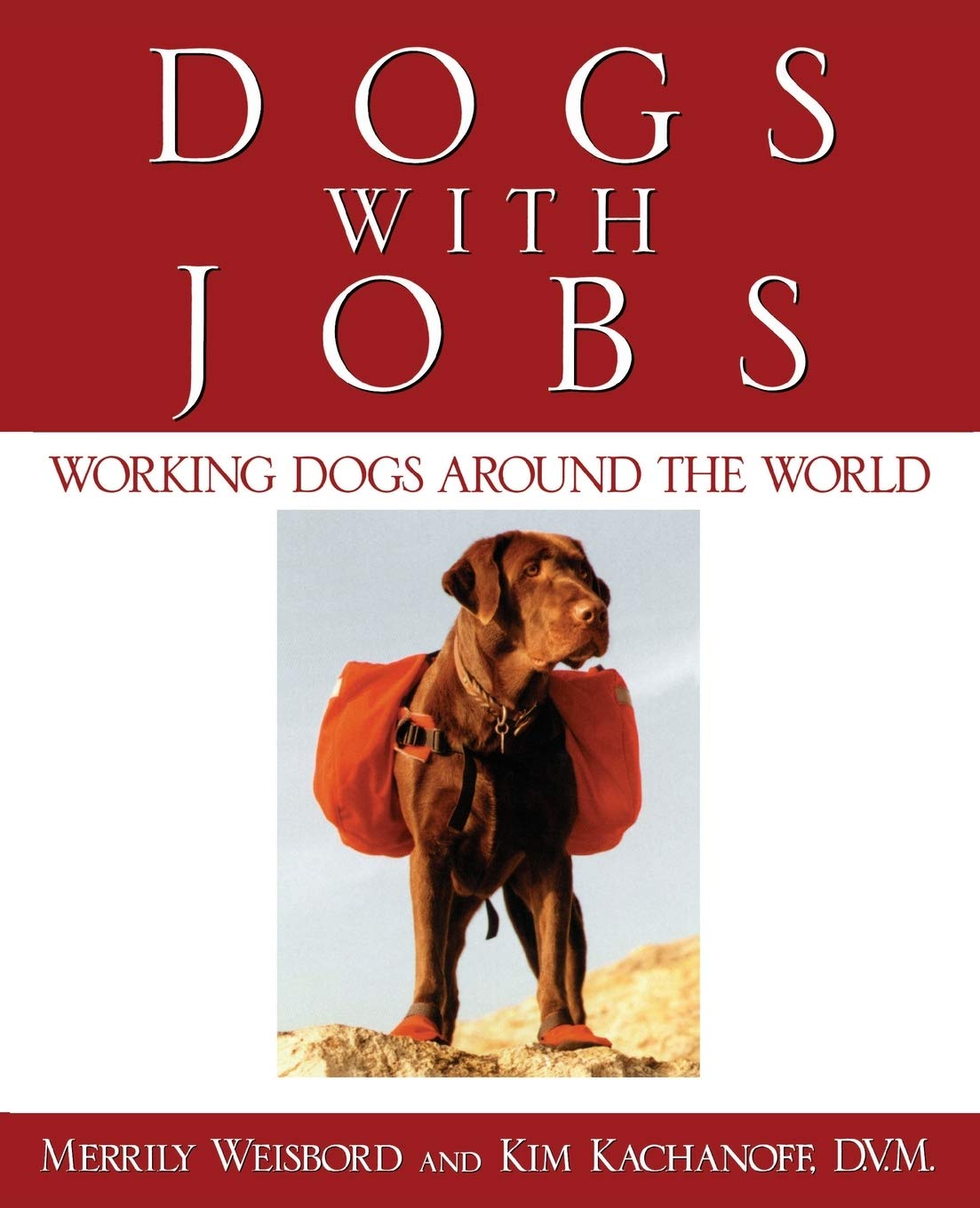 What Jobs Are There With Dogs