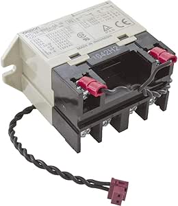 Amazon.com: Pentair Relay, EasyTouch, IntelliTouch, SunTouch, 3hp, DPST ...