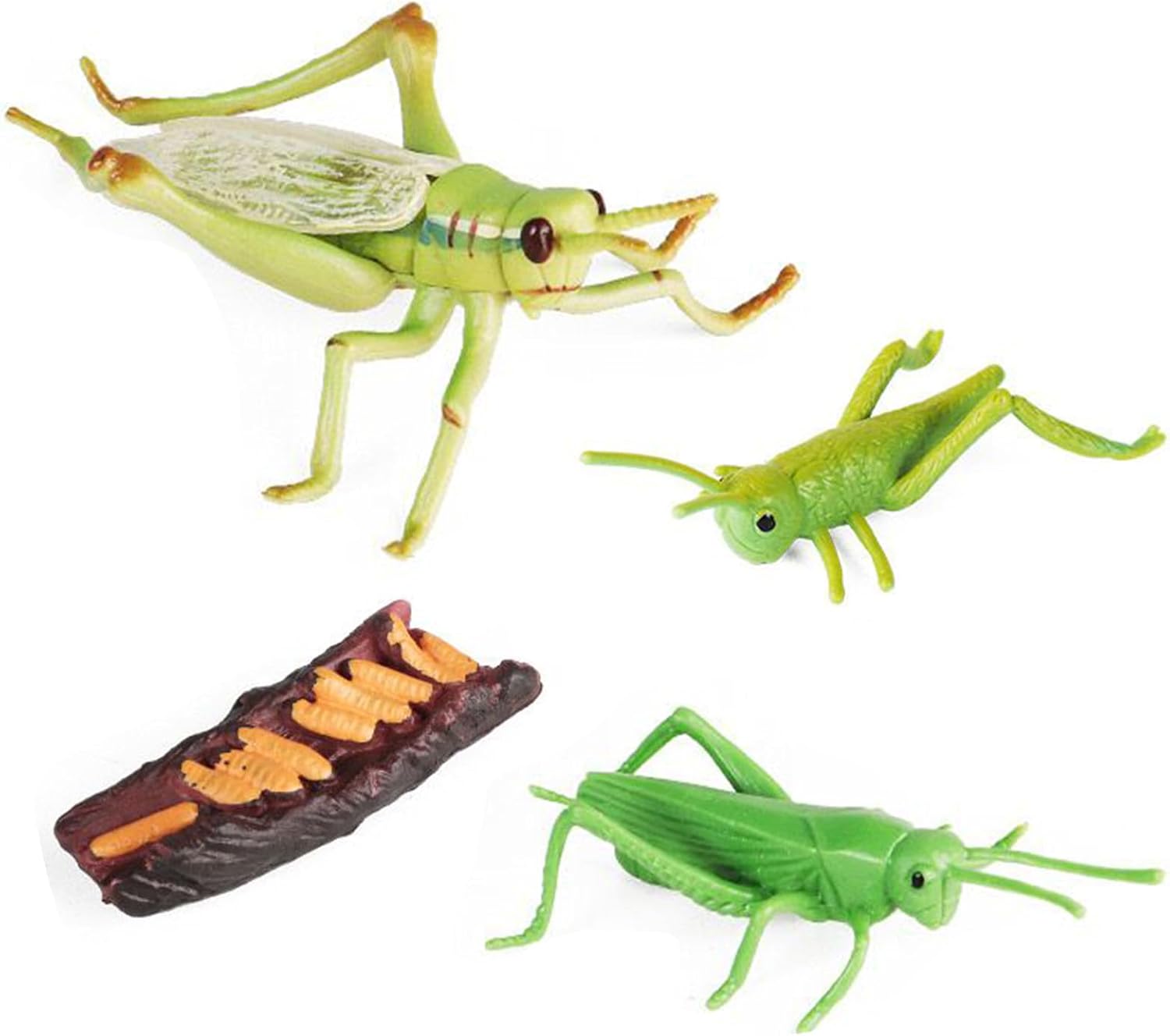 Amazon.com: Momoplay Grasshopper Insects Animals Figurine Toys,The ...