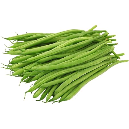 Amazon.com : Haricot Vert Stringless Green Bean Seeds : Patio, Lawn ...