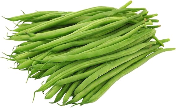 Amazon.com : Haricot Vert Stringless Green Bean Seeds : Patio, Lawn ...