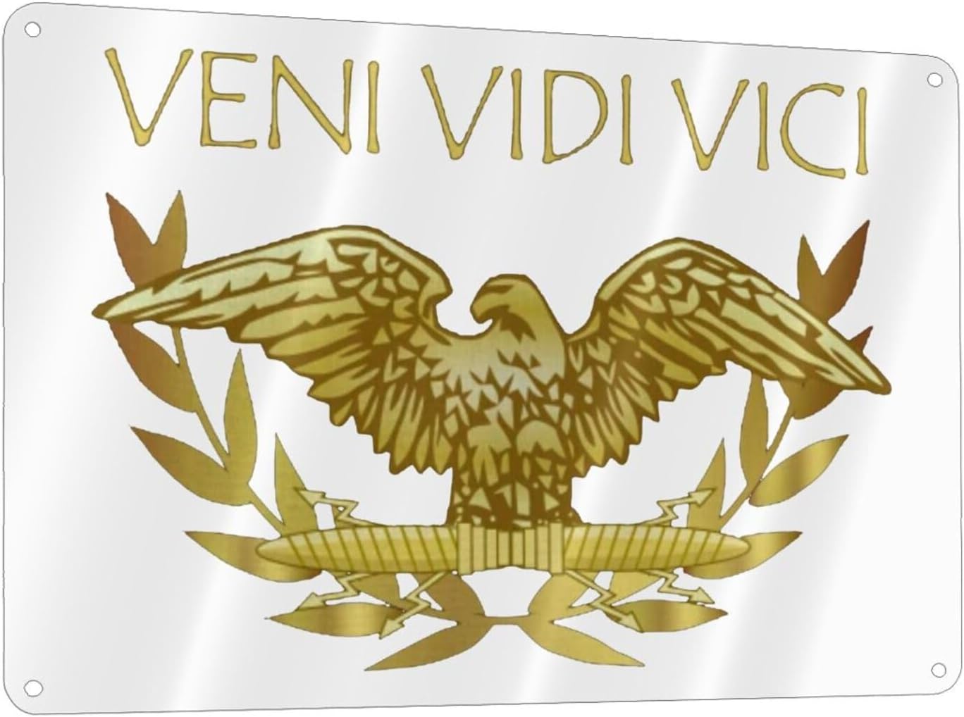 Amazon.com: Veni Vidi Vici I Came I Saw I Conquered Metal Aluminum Sign ...