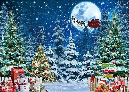 Amazon.com : BAIFNEZ 7x5FT Christmas Eve Forest Snow Scene Backdrop ...