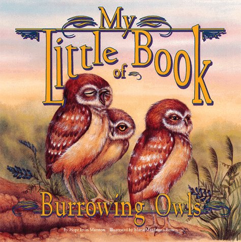 My Little Book of Burrowing Owls : Marston, Hope Irvin, Brown, Maria ...