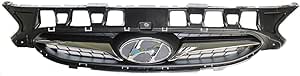 Amazon.com: Genuine Hyundai 86350-1R100 Radiator Grille Assembly ...