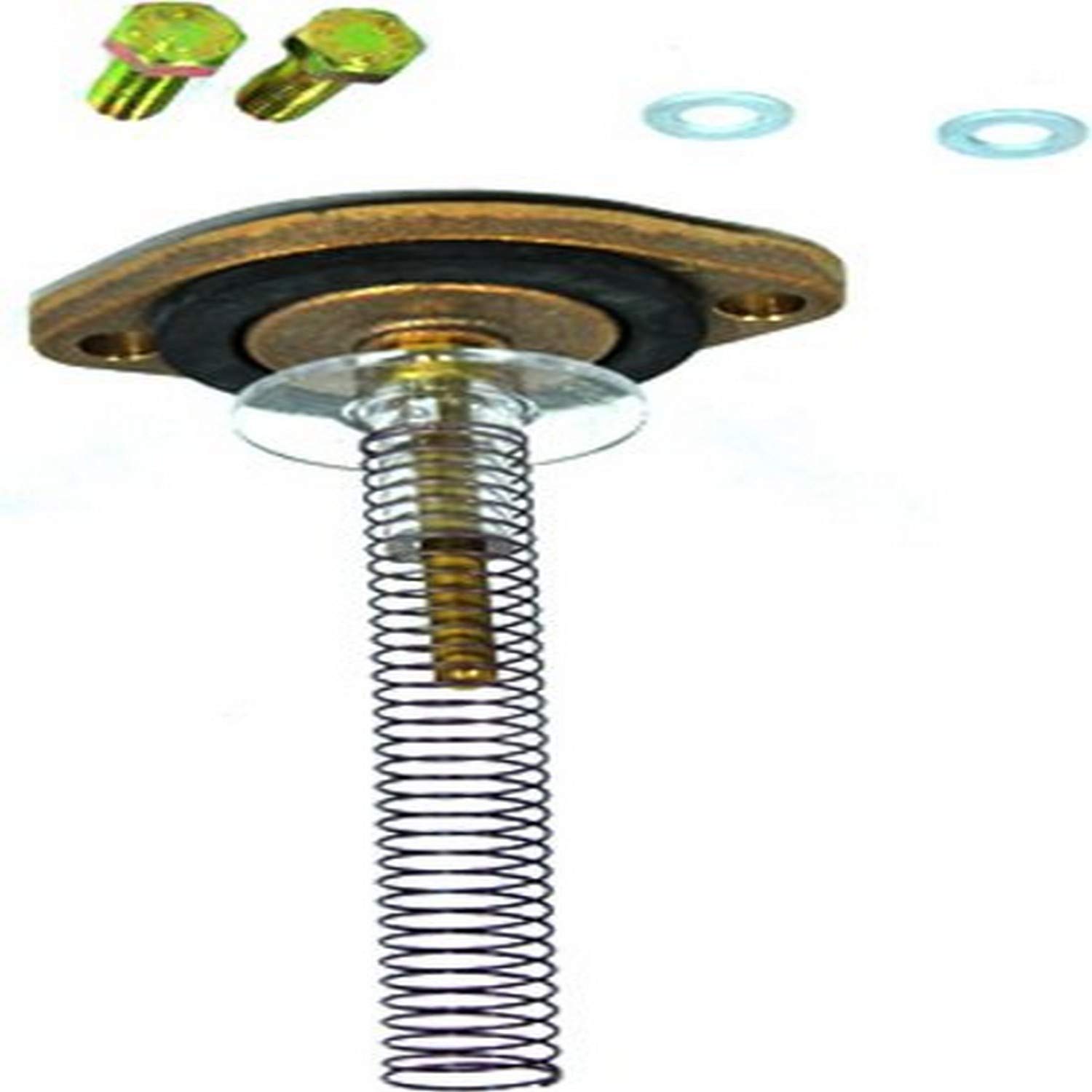 Buy Zodiac R0452801 By Pass Valve Assembly with Spring Replacement ...