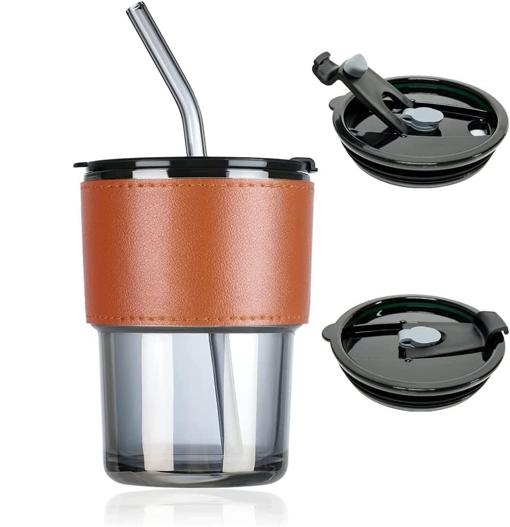Cartxomy Glass Tumbler with Lid and Glass Straw Coffee Tea Milk Mug for ...