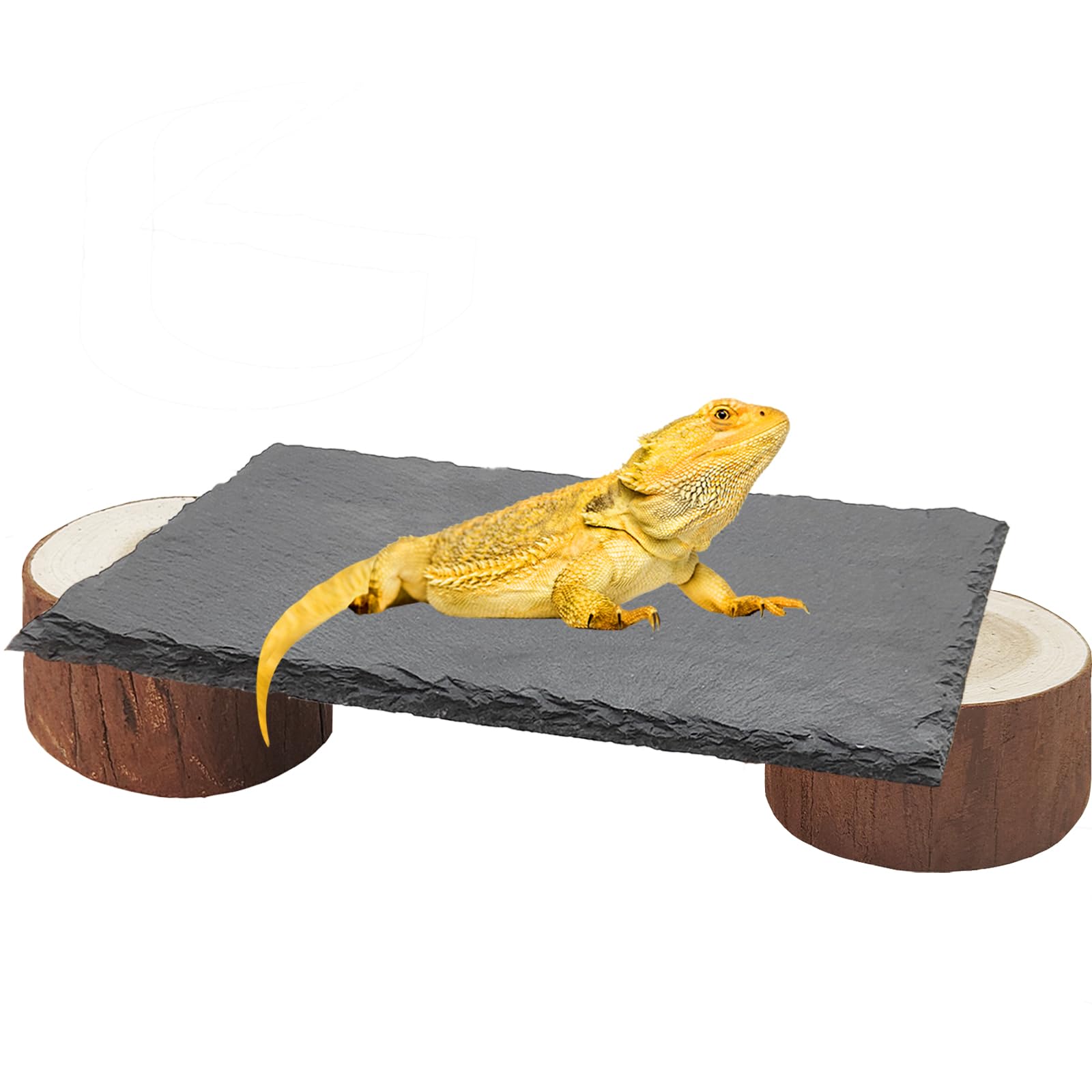 Amazon.com : GXSDJ Bearded Dragon Basking Platform with Wooden Pile ...