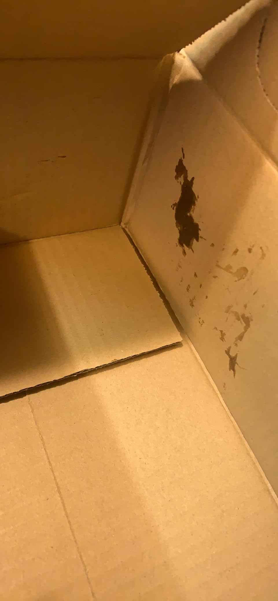 Amazon | deartech(ディアテック) カウンセリング プレシャンプー 1000ml 薄黄色 詰替え用 | ディアテック | シャンプー 通販