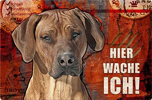 Nanyuk +++ Rhodesian Ridgeback - Metall Warnschild Schild Hundeschild ...