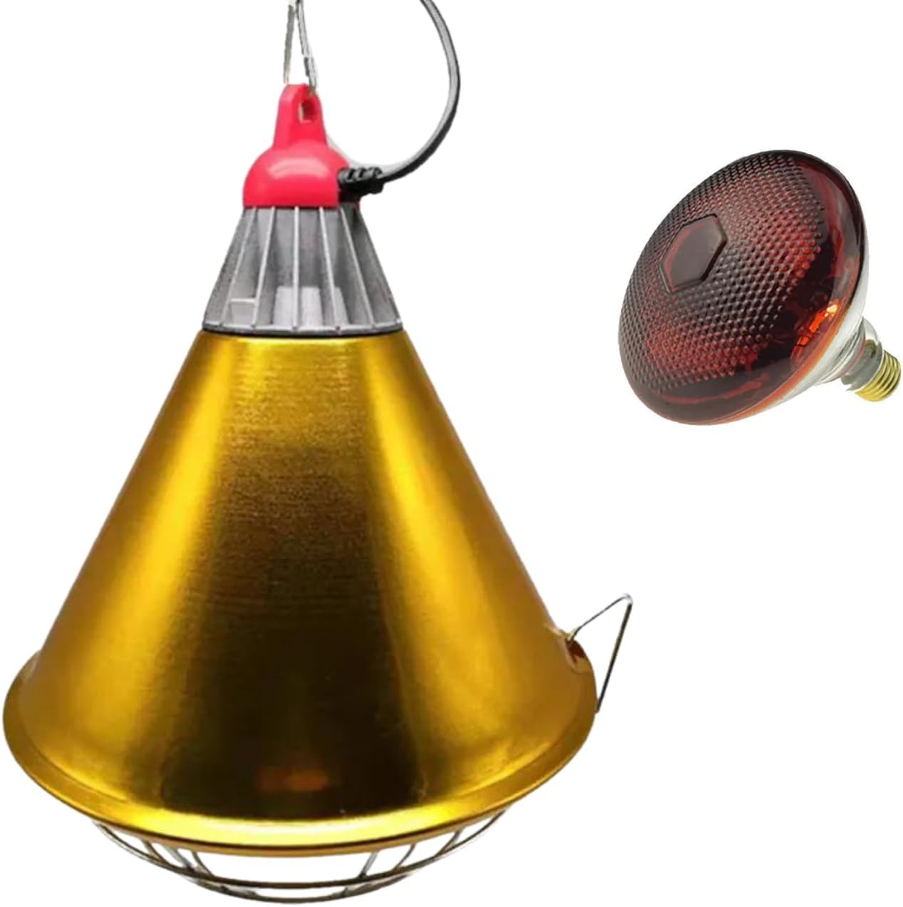 Amazon.com : Ma poule express Heat Lamp Bulb with Aluminium Base – 2 ...