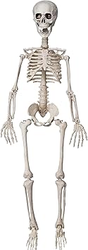 Amazon.com : 36" Halloween Skeleton Decorations, 3FT Posable Skeleton ...