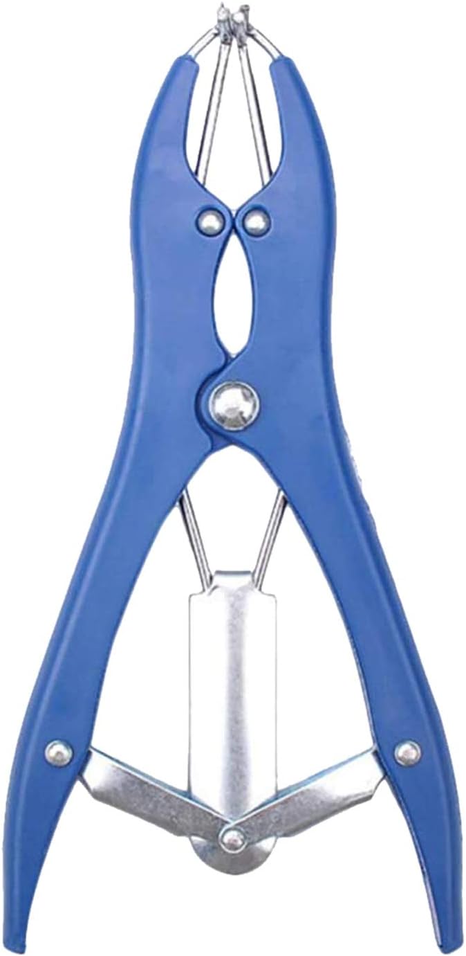 Pinze Ad Espansione Clip Riempimento Palloncino In Metallo Strumento ...