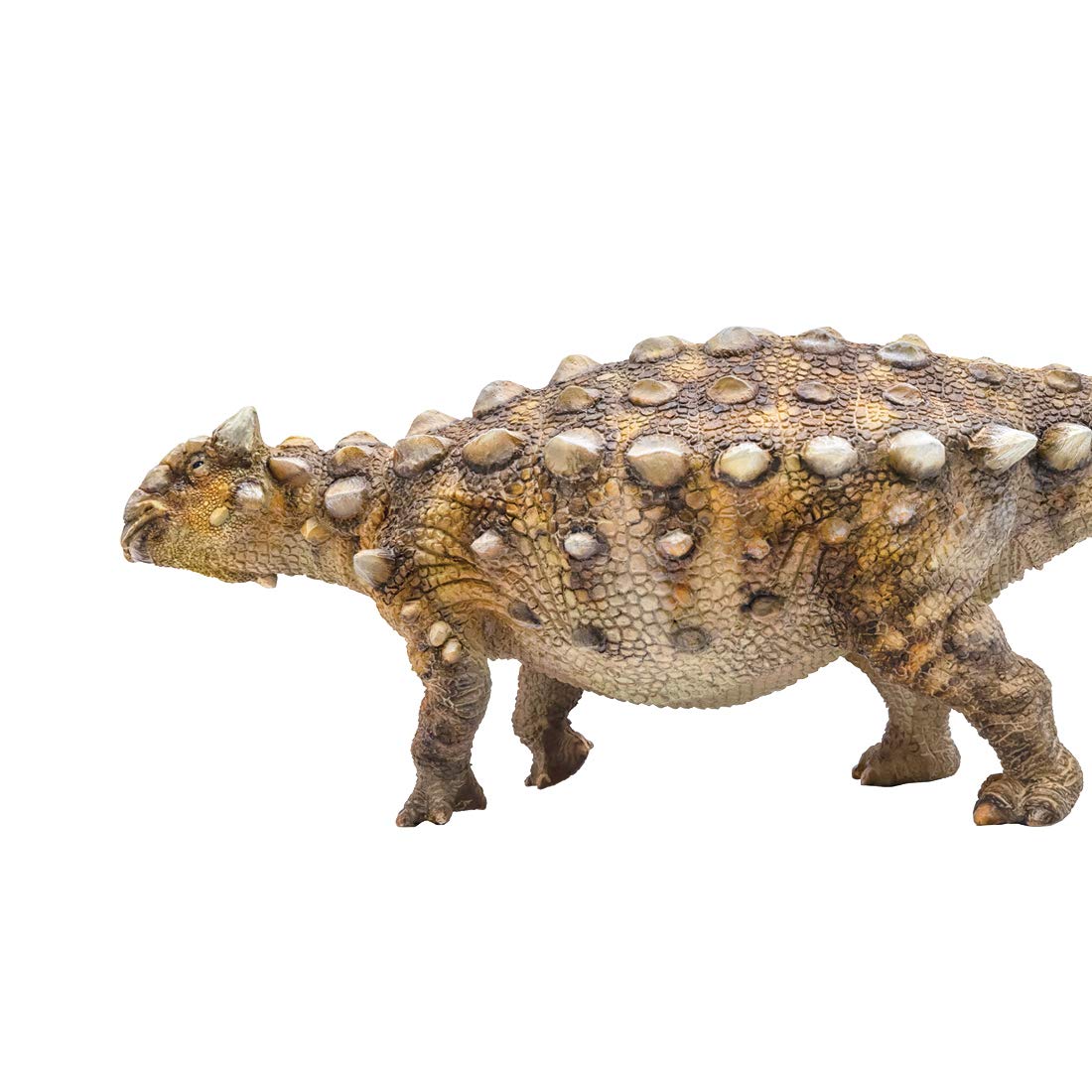 PNSO Detailed Dinosaur Models: Sede The Ankylosaurus 8.3"- Buy Online ...