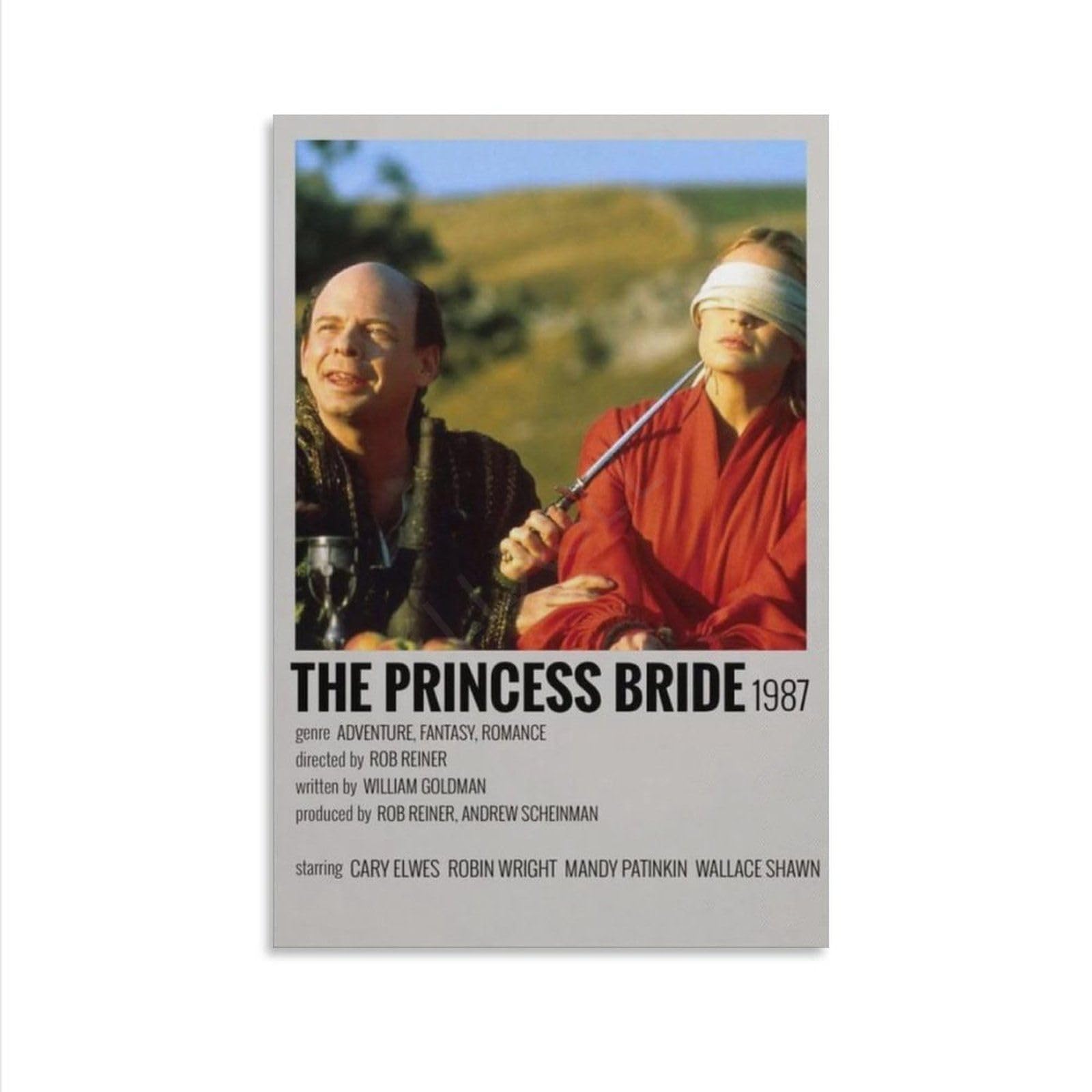 Princess Bride Minimalist Poster