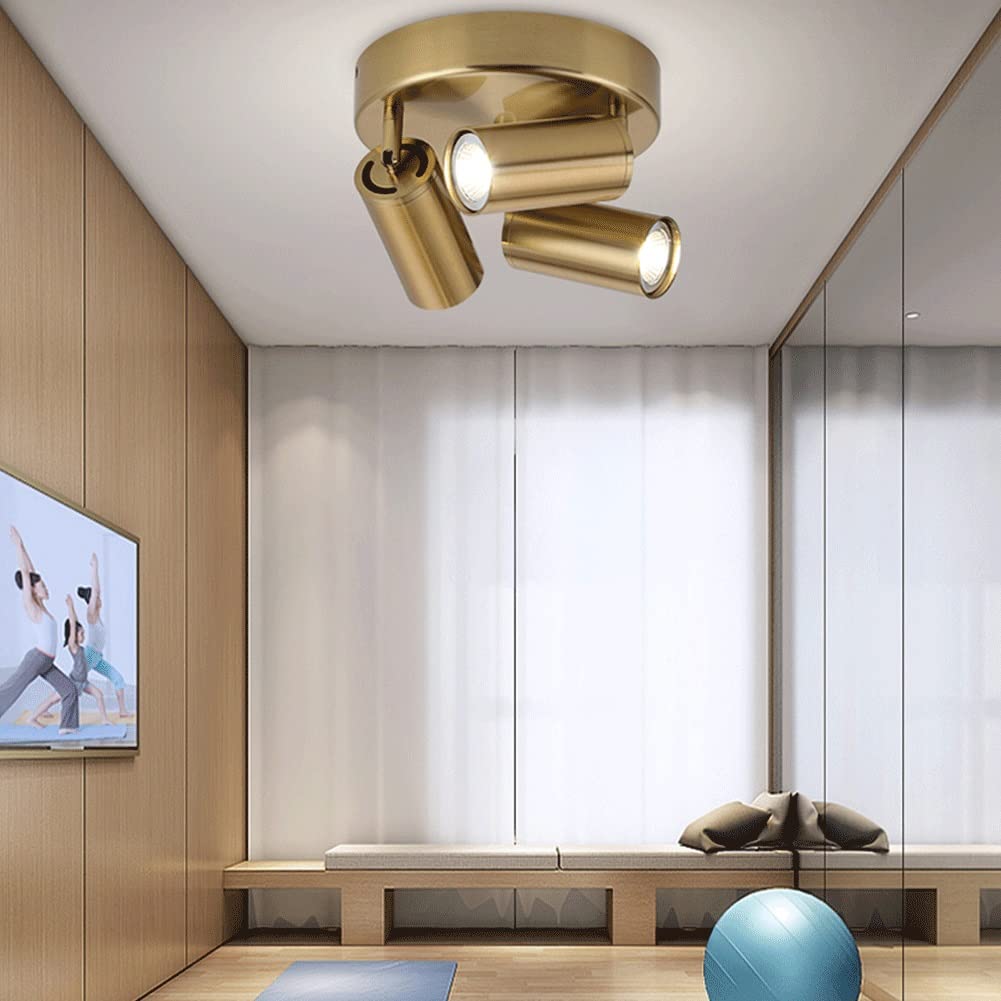Directional Ceiling Light 3 Light Ceiling Spotlight Fixture Adjustable ...