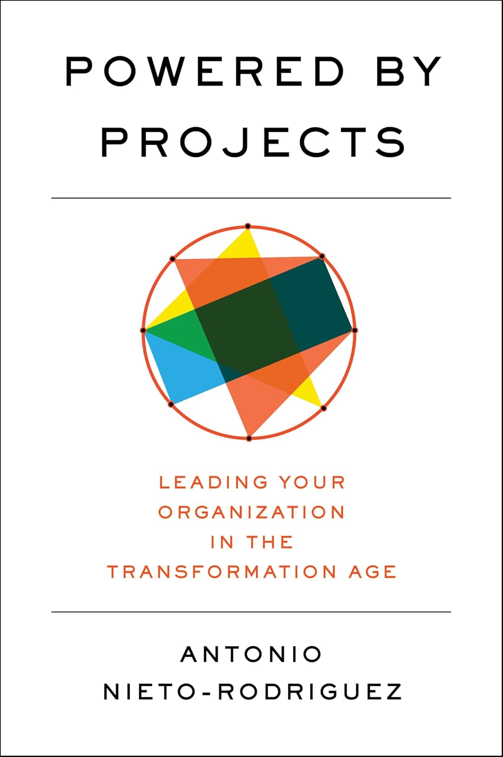 Amazon.com: Powered by Projects: Leading Your Organization in the ...
