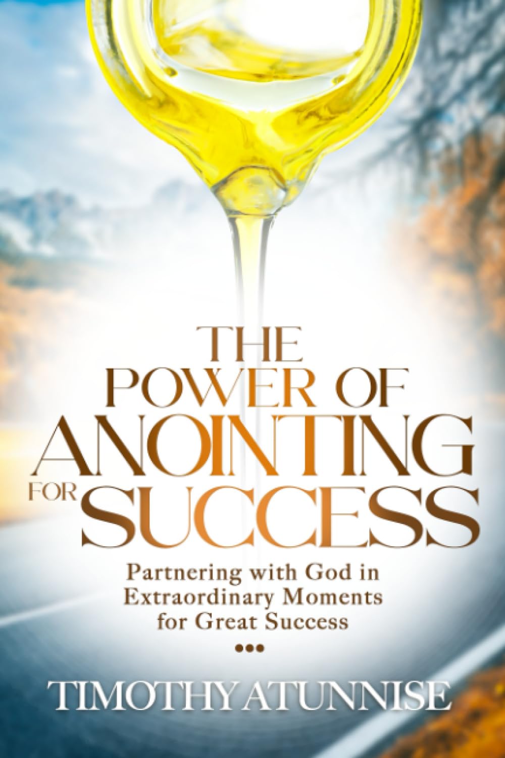 The Power of Anointing for Success: Partnering with God in ...
