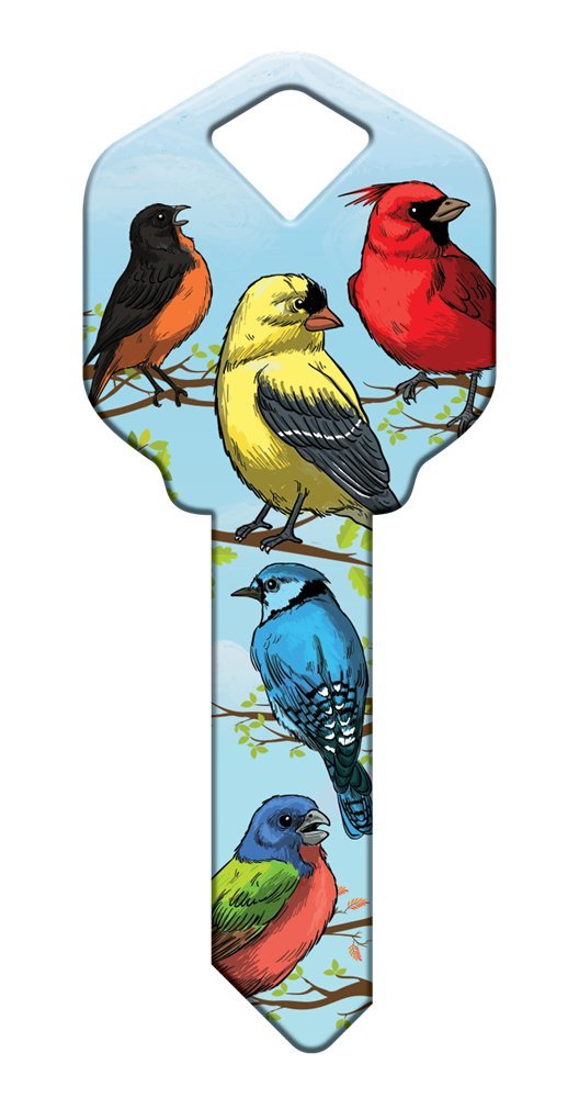 Set of 5 Uncut Blank Designer SC54 Birds Replacement House Keys for SC1 ...
