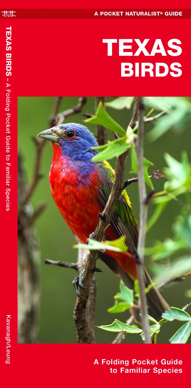 Texas Birds (Nature Observation North America): Kavanagh Waterford ...
