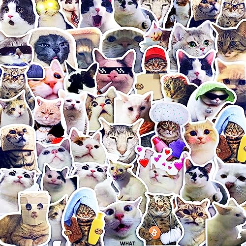 Katzen Aufkleber – Die 15 besten Produkte im Vergleich - kita.de Ratgeber