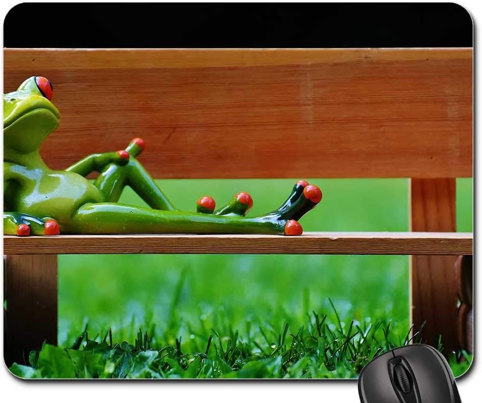 Amazon.com : Mouse Pads - Frog Bank Bench Relaxed Figure Funny Rest ...