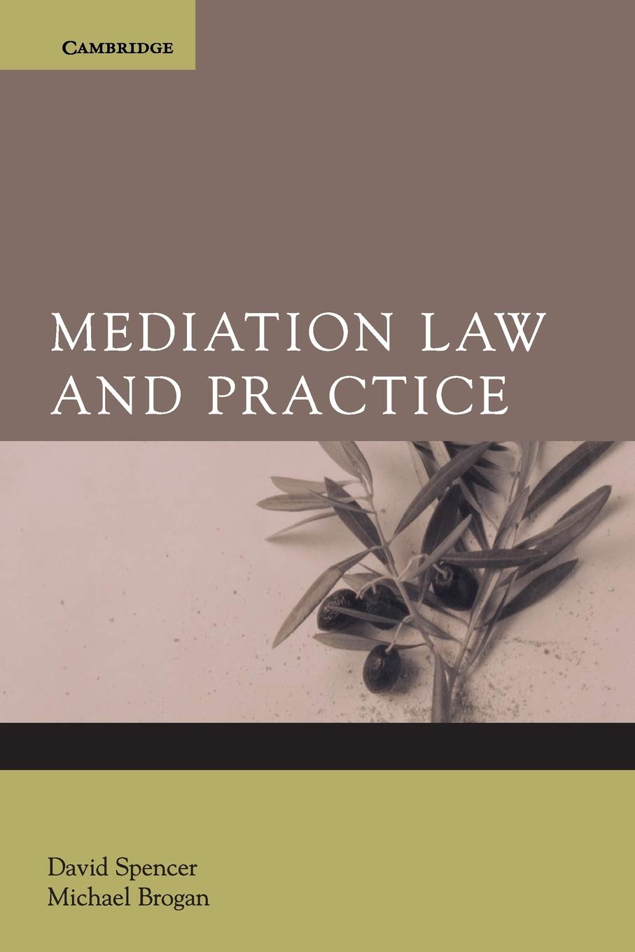 Mediation Law and Practice: Spencer, David: 9780521676946: Amazon.com ...