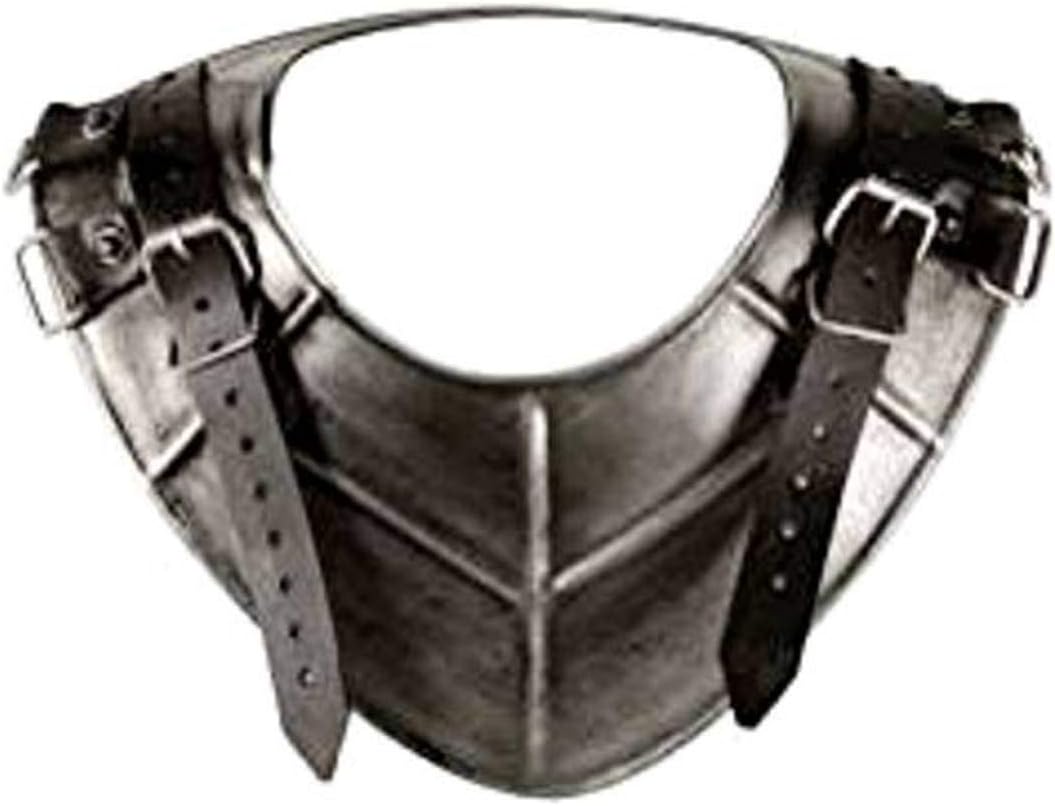 Amazon.com: THOR INSTRUMENTS Medieval Armor Dark Gorget Neck Armor One ...